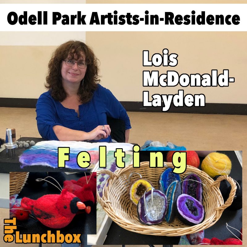 CHSR-FM 97.9 | The Lunchbox Interview: Lois McDonald-Layden (Felt Artist)