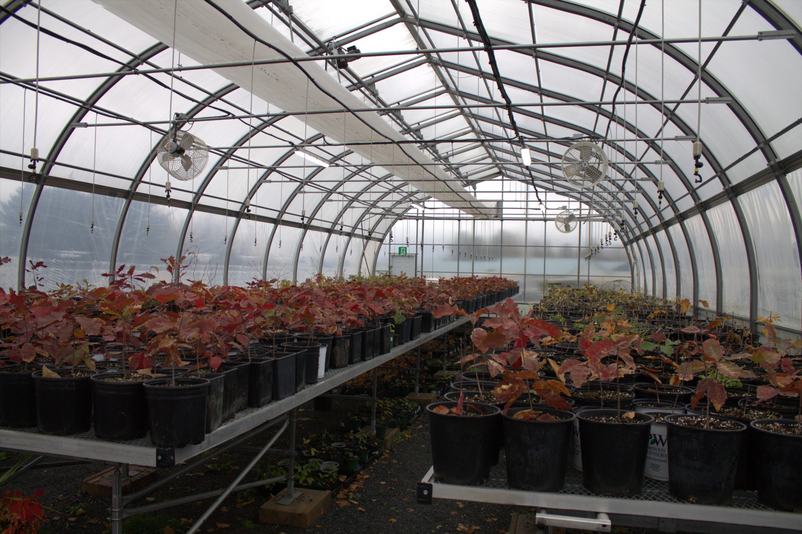 CHSR-FM 97.9 | CHSR News – November 5th, 2024 – Fredericton’s Net Zero ...